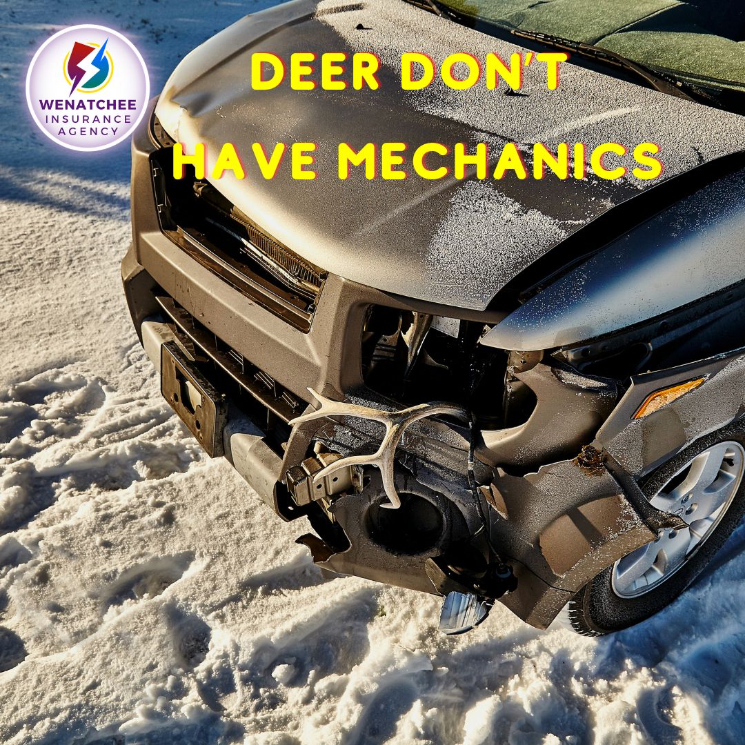 What happens with insurance if I hit a deer with my truck?